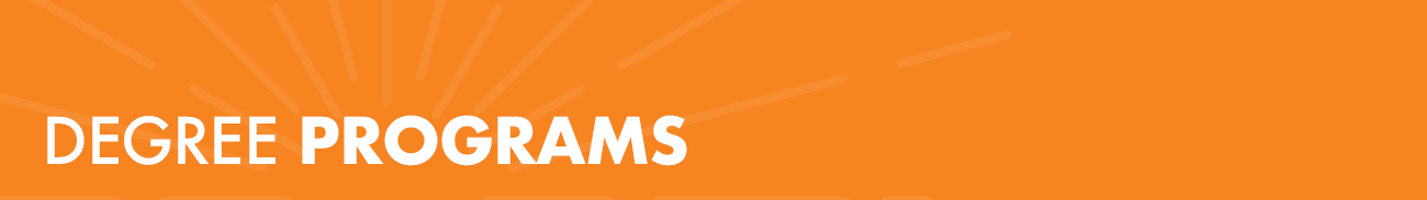 Degree Programs – Vision International Education Network